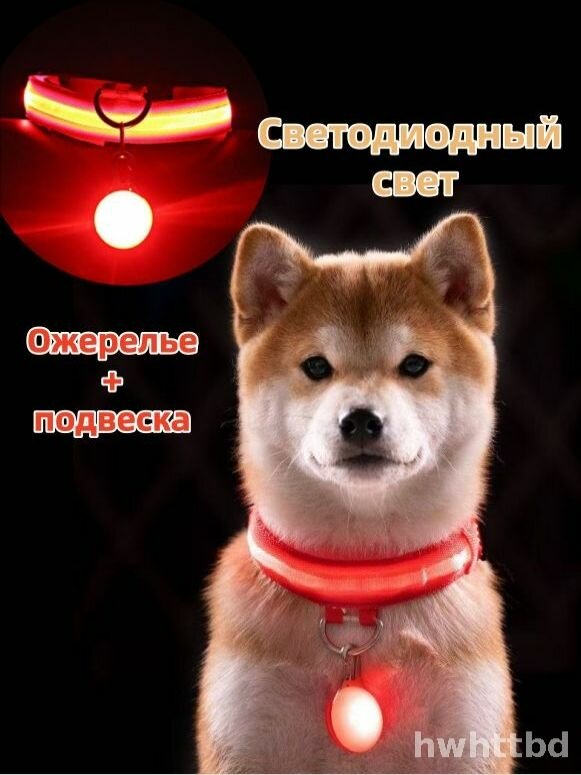 Светодиодные светящиеся ошейники для собак, кошек, большие и малые собаки, навесные наборы , ночные поездки против потери