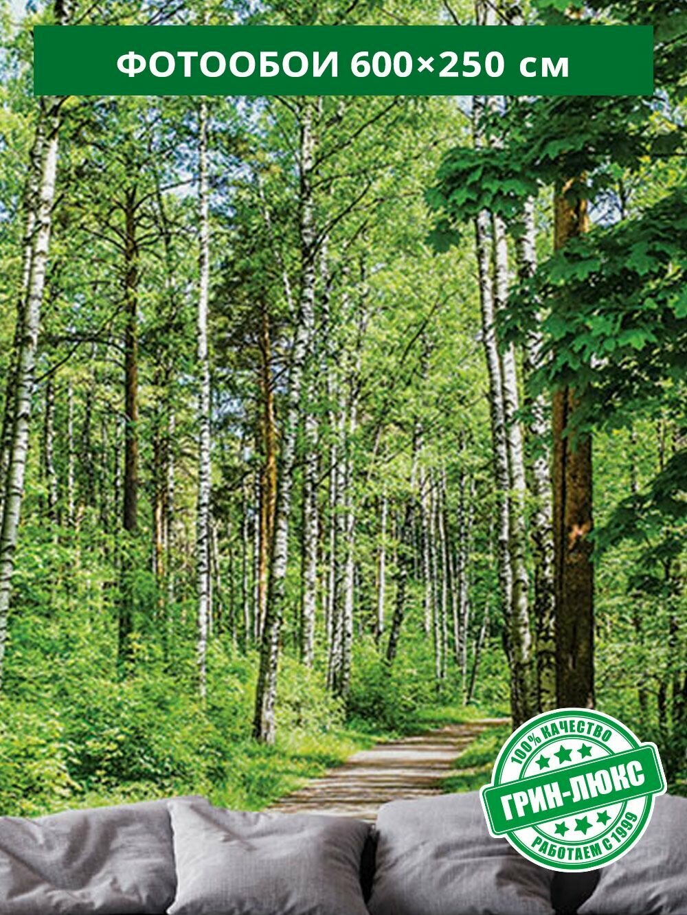 Фотообои на стену "Березовая роща 600х250", обои флизелиновые гладкие в комнату спальню гостиную коридор, пейзаж