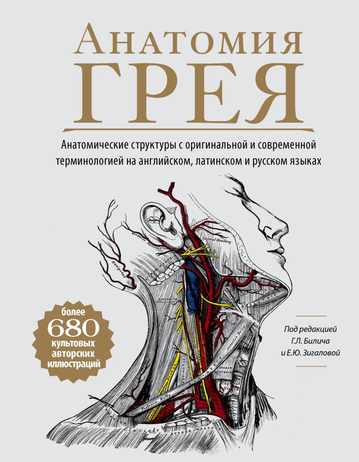 Анатомия Грея. Анатомические структуры с оригинальной и современной терминологией на английском, латинском и русском языках [Цифровая книга]