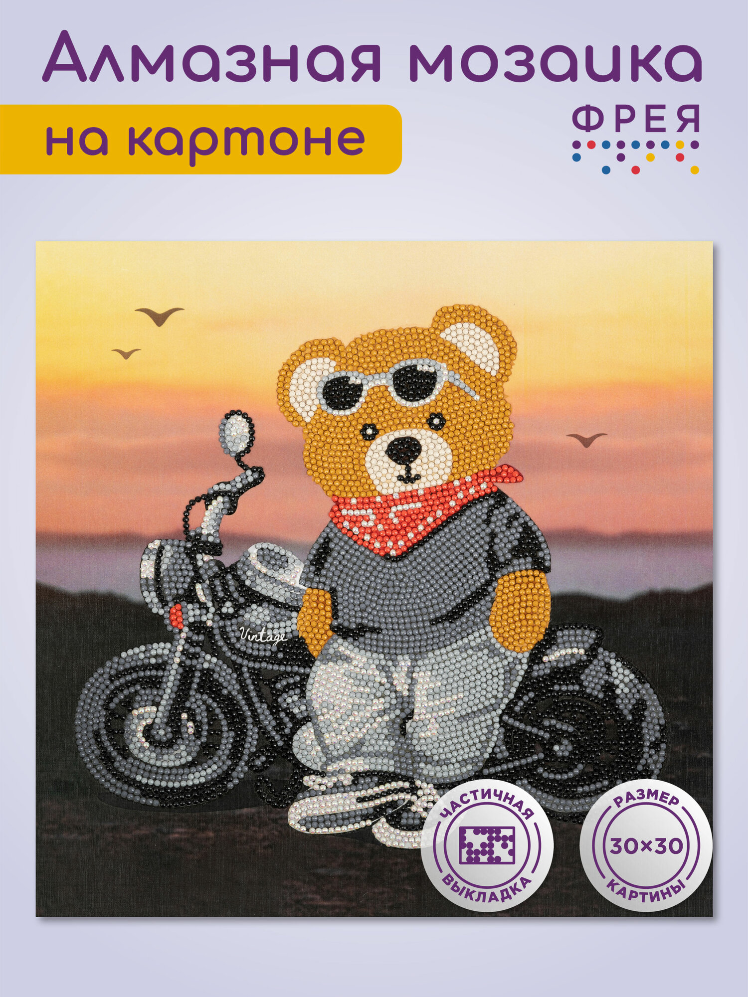 Алмазная (кристальная) мозаика постер "фрея" ALBP-273 "Мотоциклист" 30х30 см