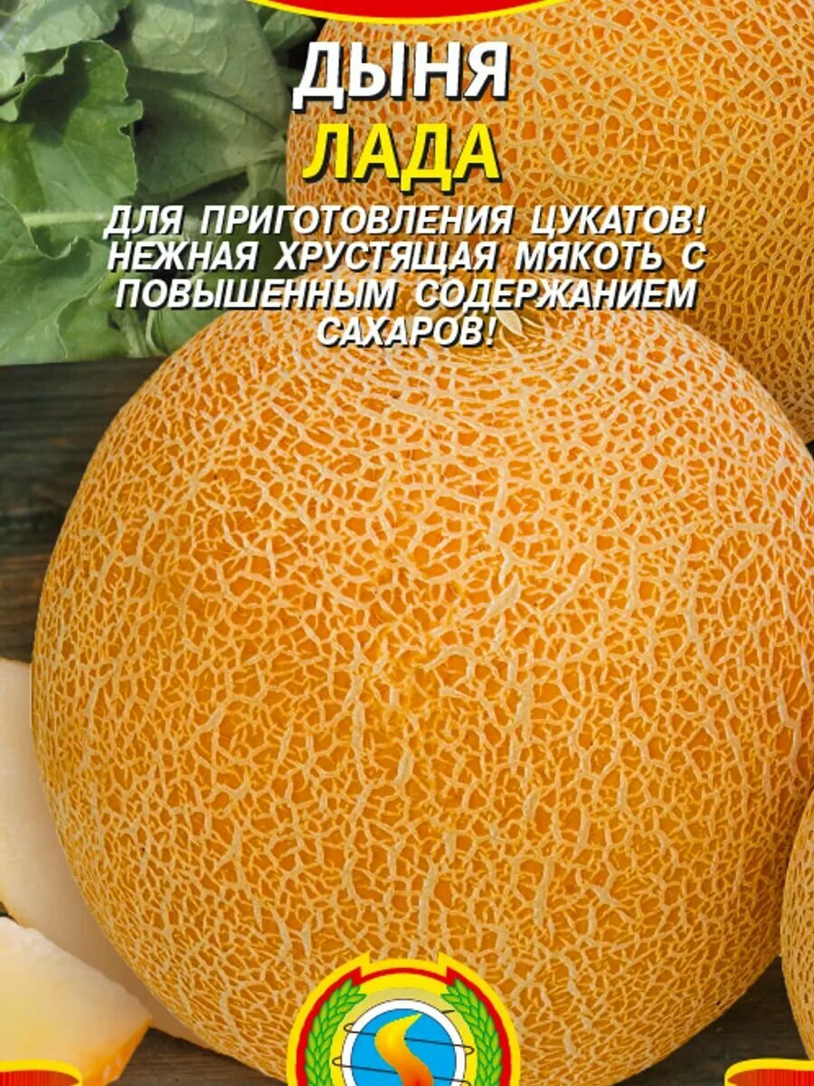 Дыня Лада 1 г, Плазменные семена