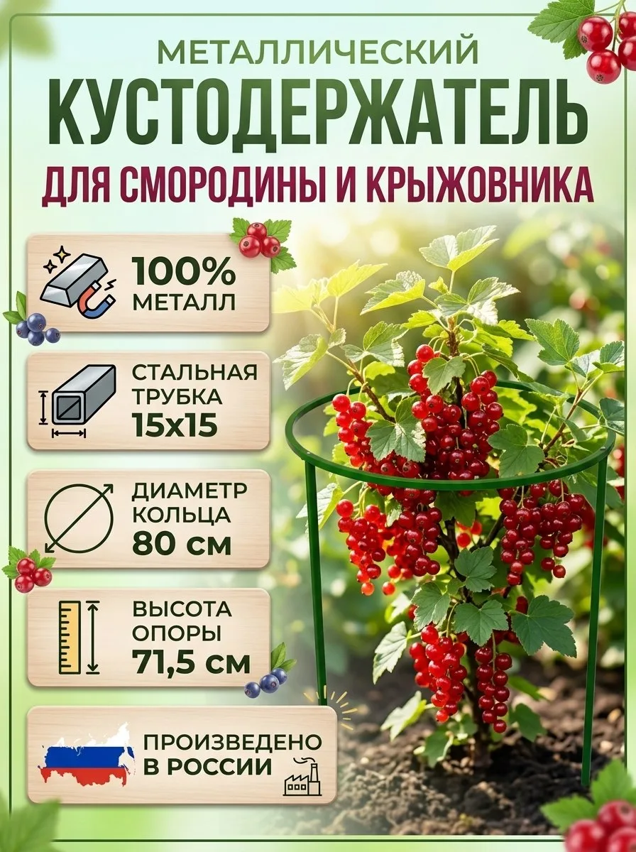 Кустодержатель металлический садовый для смородины и крыжовника