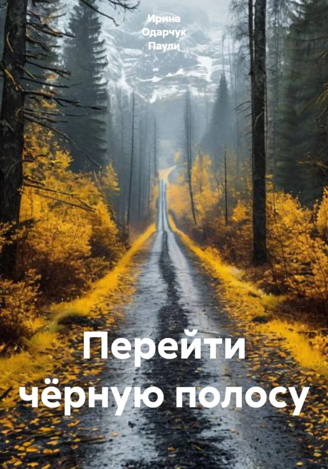 Перейти чёрную полосу [Цифровая книга]