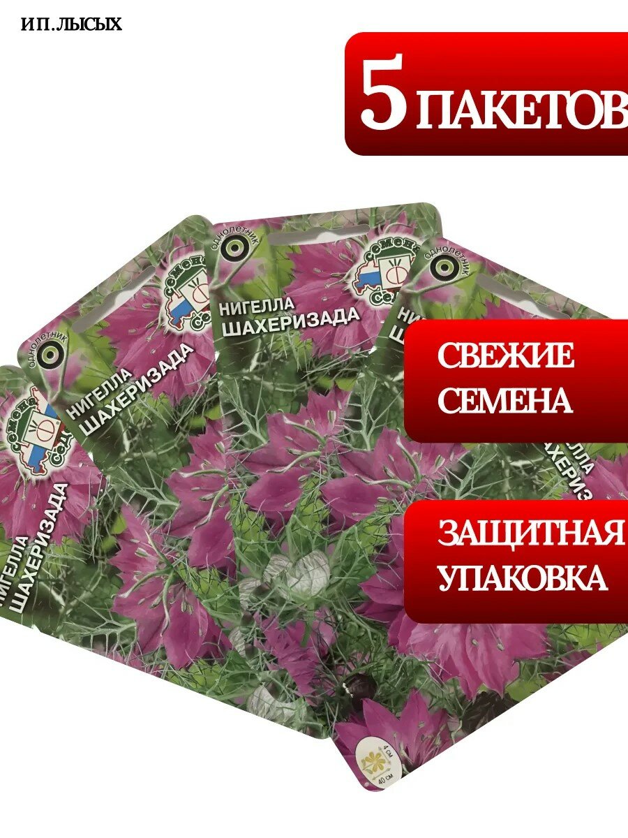 Семена Нигелла "Шахеризада"