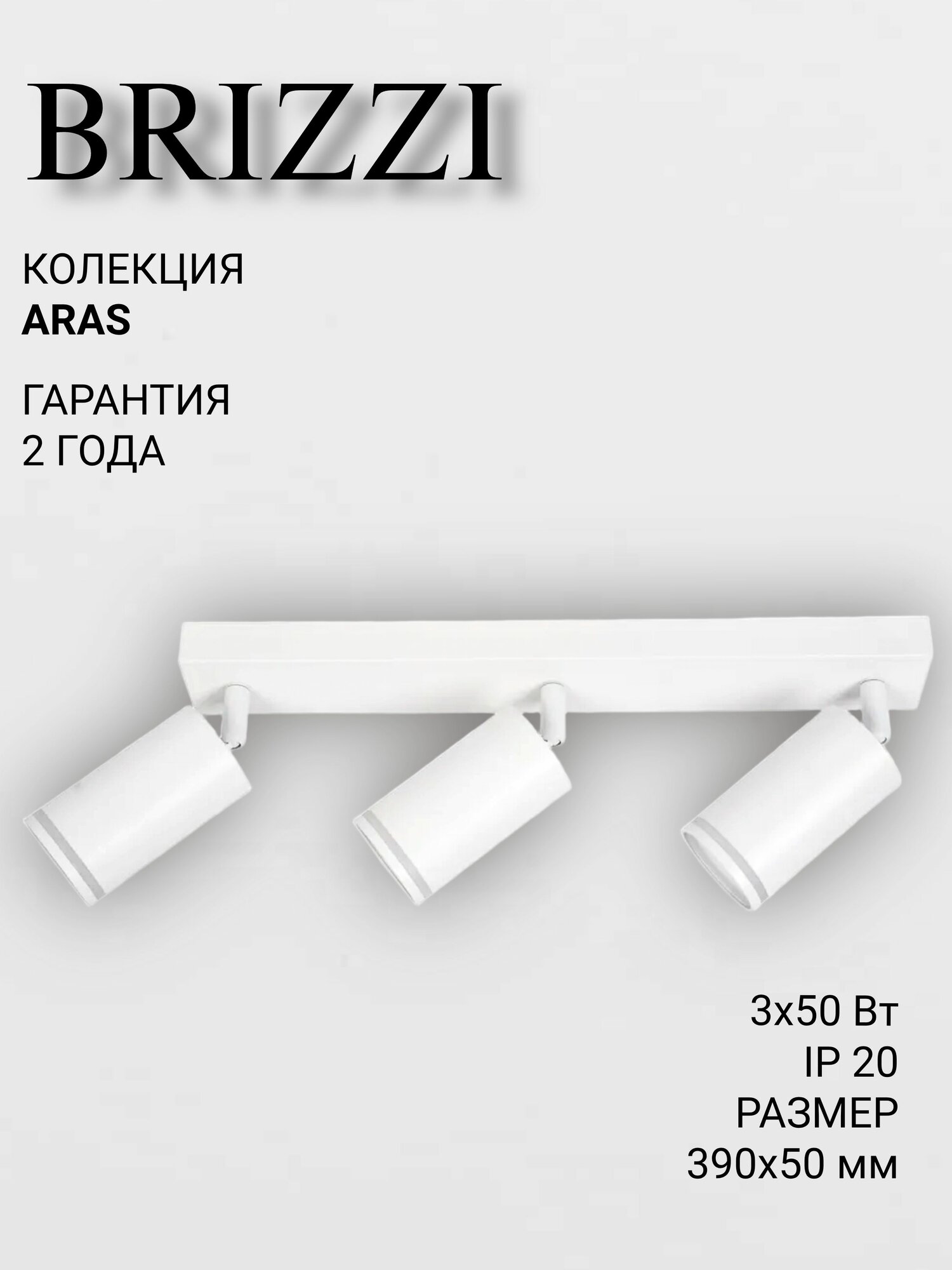 Потолочный светильник-спот BRIZZI ARAS BR08091