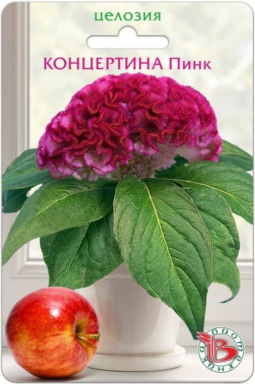 Семена целозия БиоТехника Концертина пинк гребенчатая, 8 шт