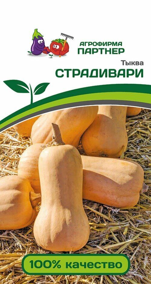Семена тыквы партнер Страдивари, раннеспелый, 10 шт