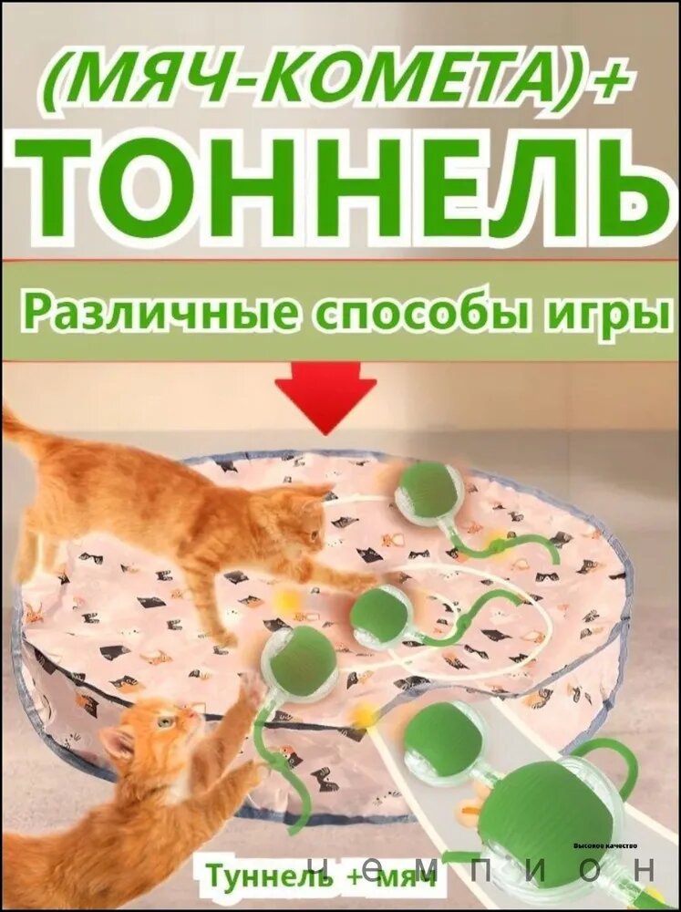 Эксклюзивный комплекс для котят в виде кита с парящим мячом, эффективно устраняющий скуку, представлен в интерактивном формате
