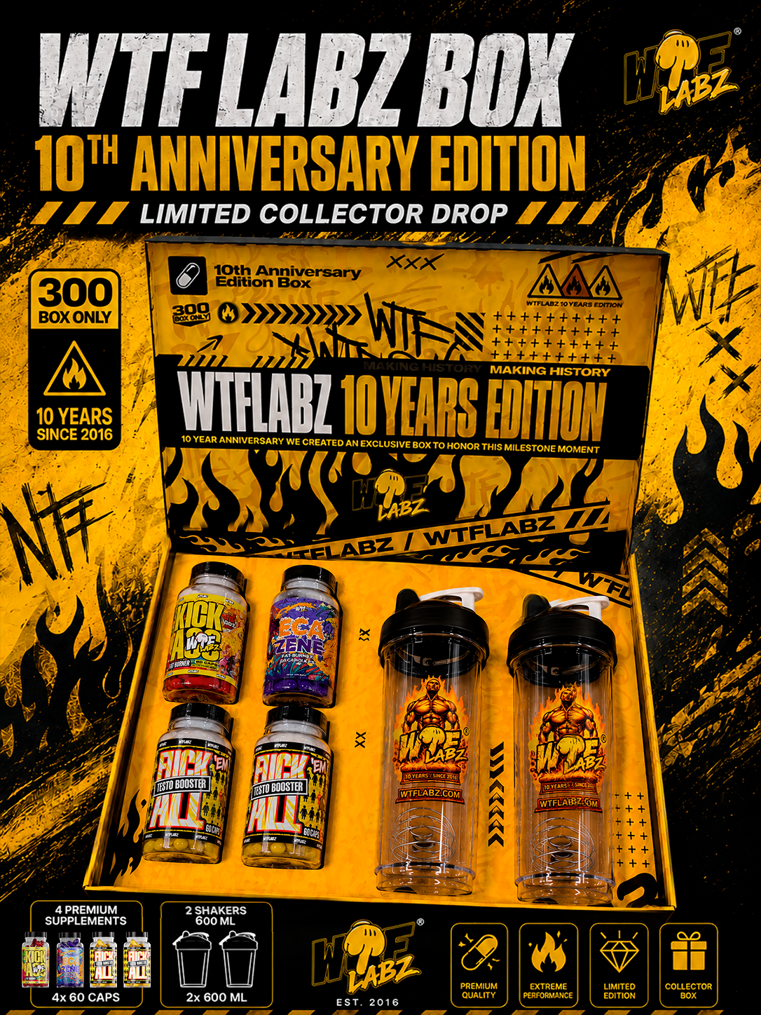 Набор WTFLABZ: жиросжигатели Hard Kick A, Lite Ecazene, 2 Fckem All, 2 шейкера