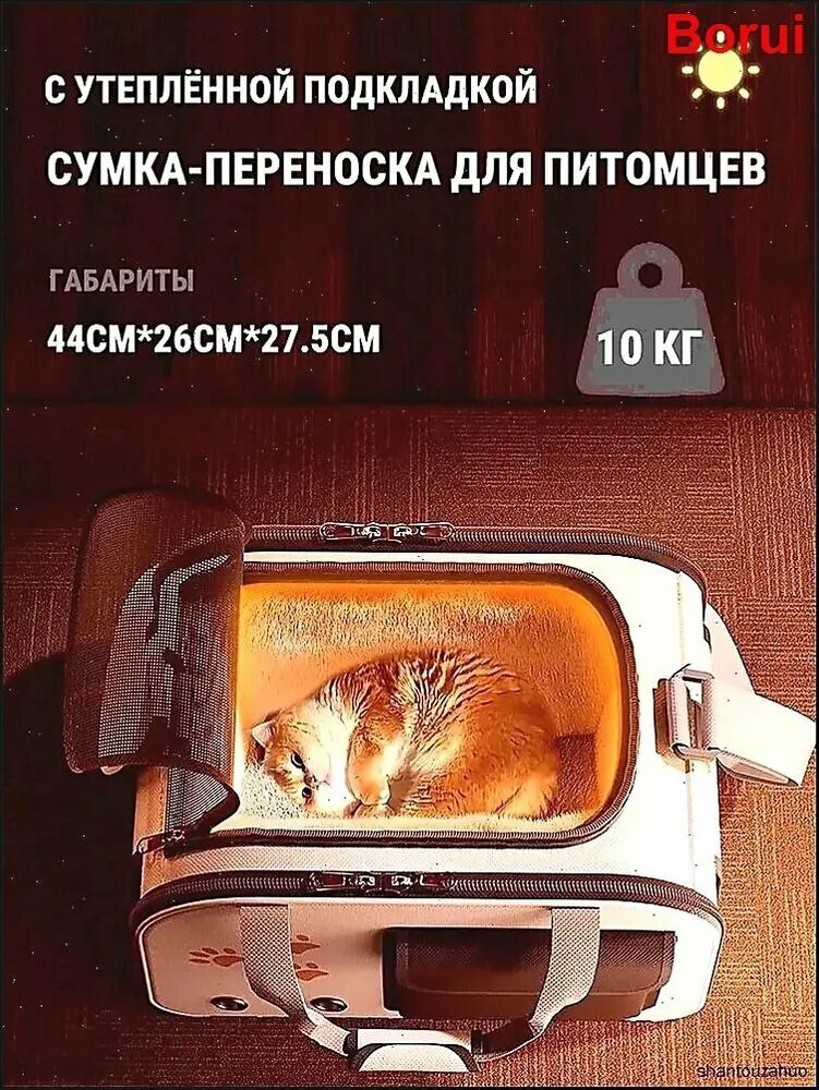 Теплая переноска рюкзак для кошки и собаки с иллюминатором для авиаперелетов