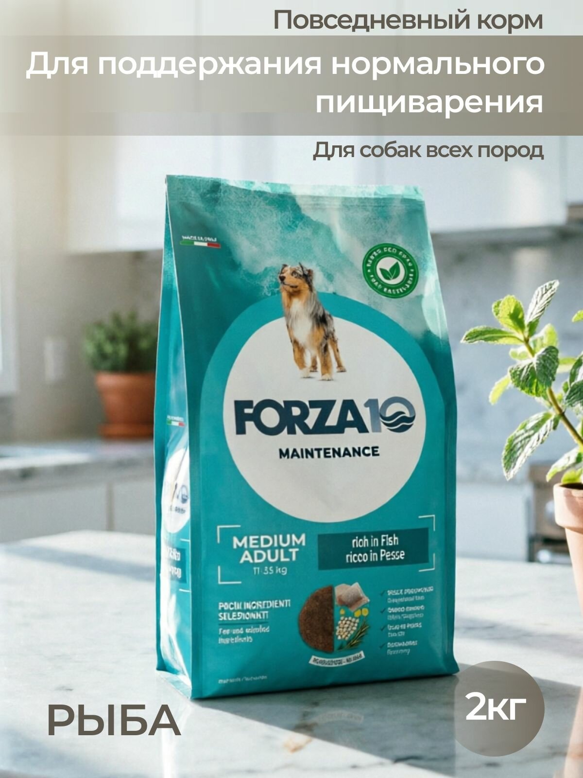 Сухой корм для собак средних пород Forza10 Maintenance Medium /рыба /2кг