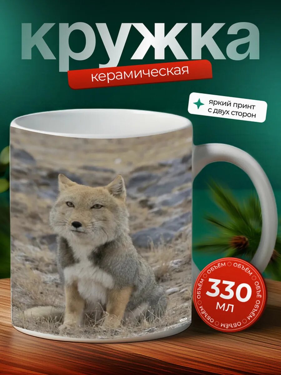 Кружка Индонезийский облачный кот 31,