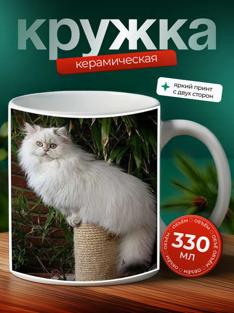 Кружка Американский рингтейл длинношерстный кот 9,