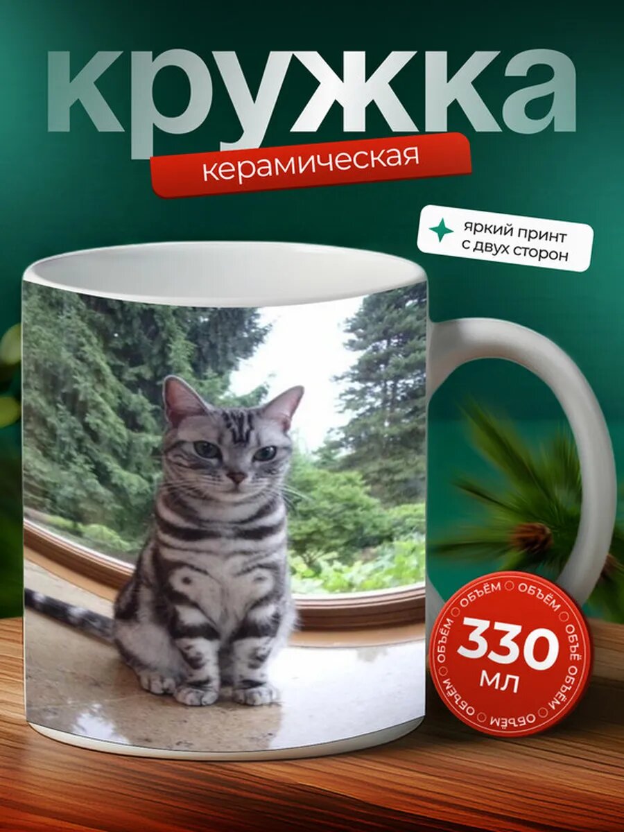 Кружка Американская короткошерстная кошка 40,