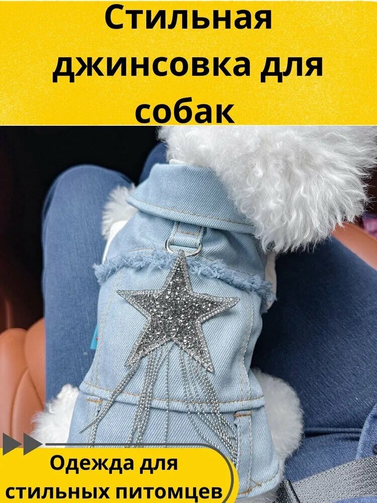 Джинсовая куртка для собак с кольцом для поводка и капюшоном, жилетка для мелких и средних пород