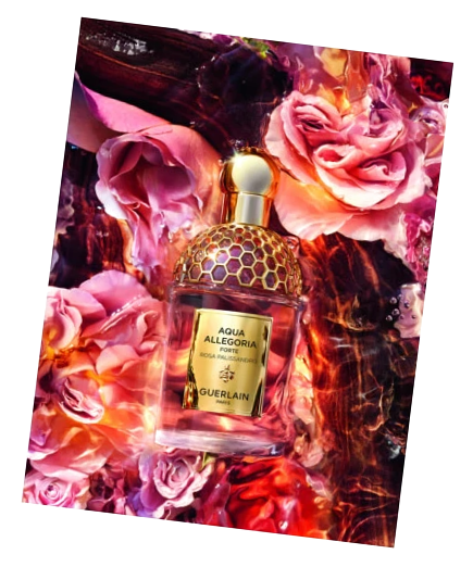 Aqua Allegoria Forte Rosa Palissandro 75 мл - парфюм Герлен унисекс