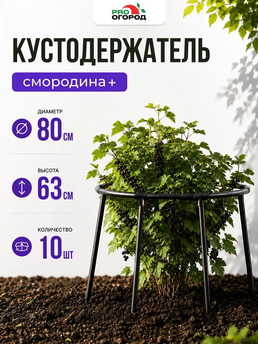 Кустодержатель садовый для смородины, крыжовника 80 см, 10шт
