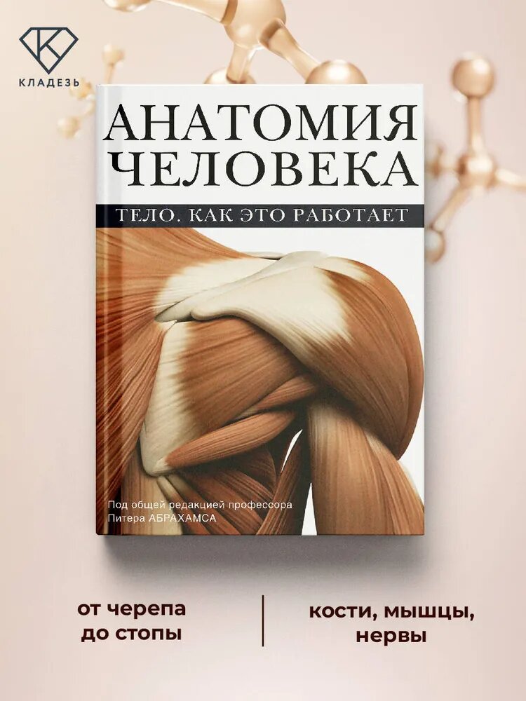 Анатомия человека. Атлас Питера Абрахамса, АСТ, 2016