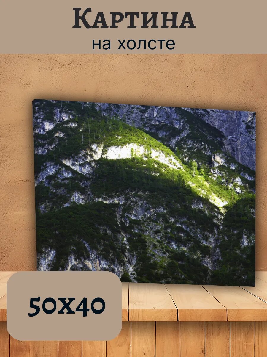 Картина Италия Italy 40x50 горный пейзаж с хвойным лесом
