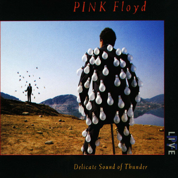 [CD] Pink Floyd - Delicate Sound Of Thunder