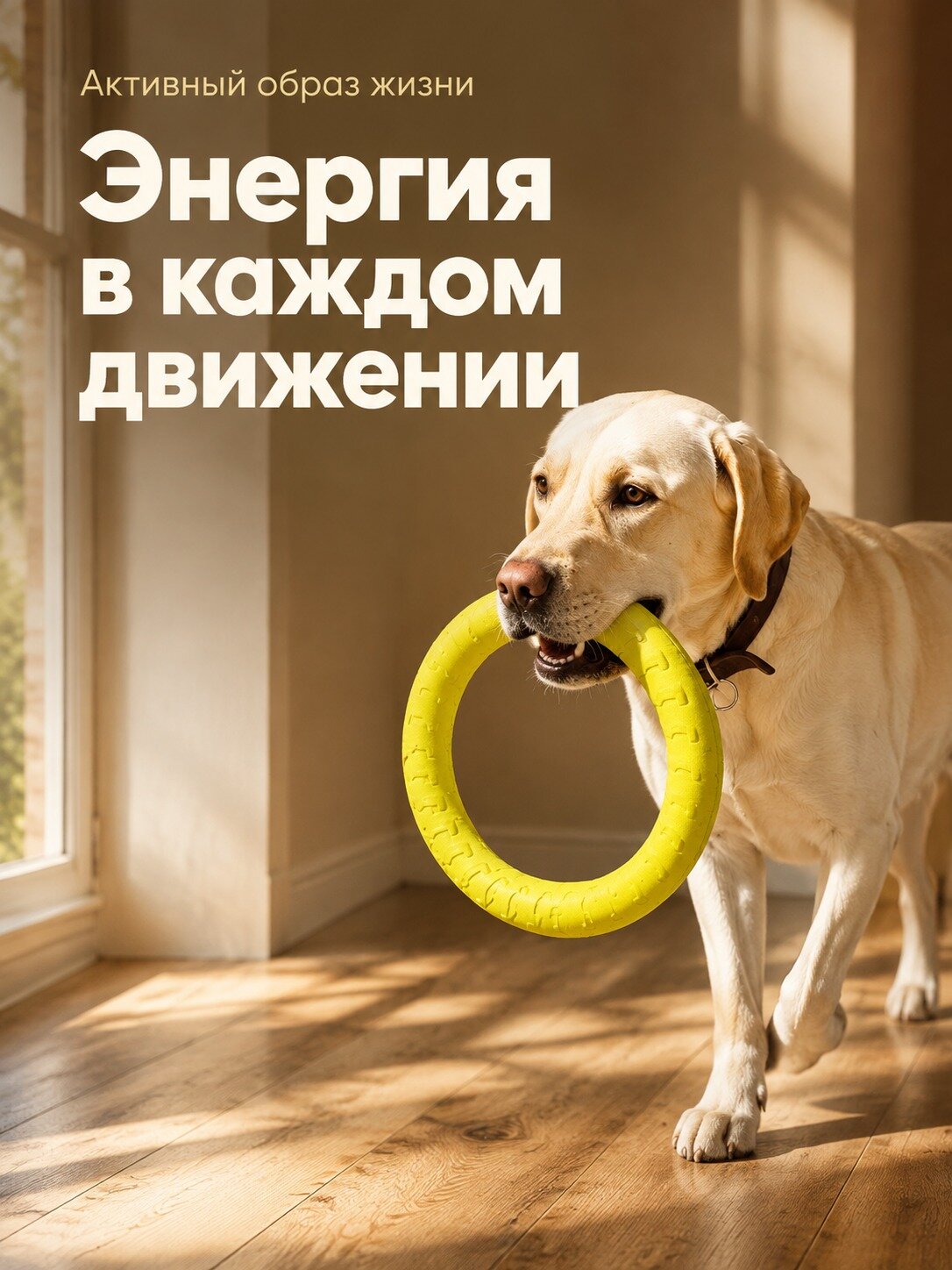 Игрушка для собак средних и крупных пород, жёлтый резиновый кольцевой тренажёр с текстурой