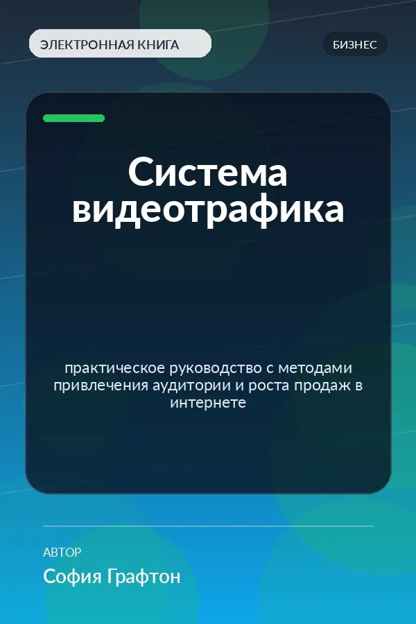 Книга Система видеотрафика — практическое руководство с методами привлечения аудитории и роста продаж в интернете