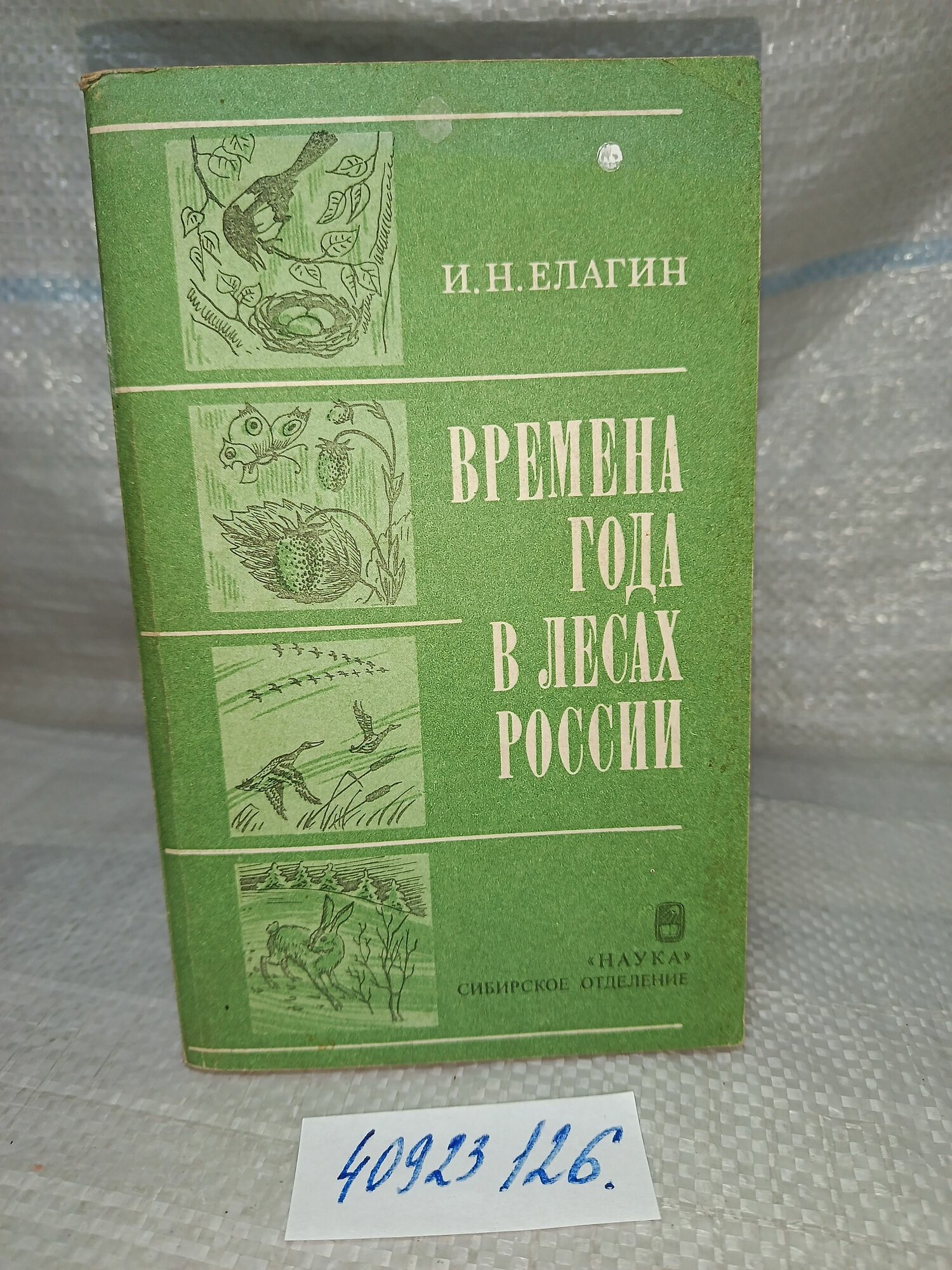 Елагин И. Н. Времена года в лесах России