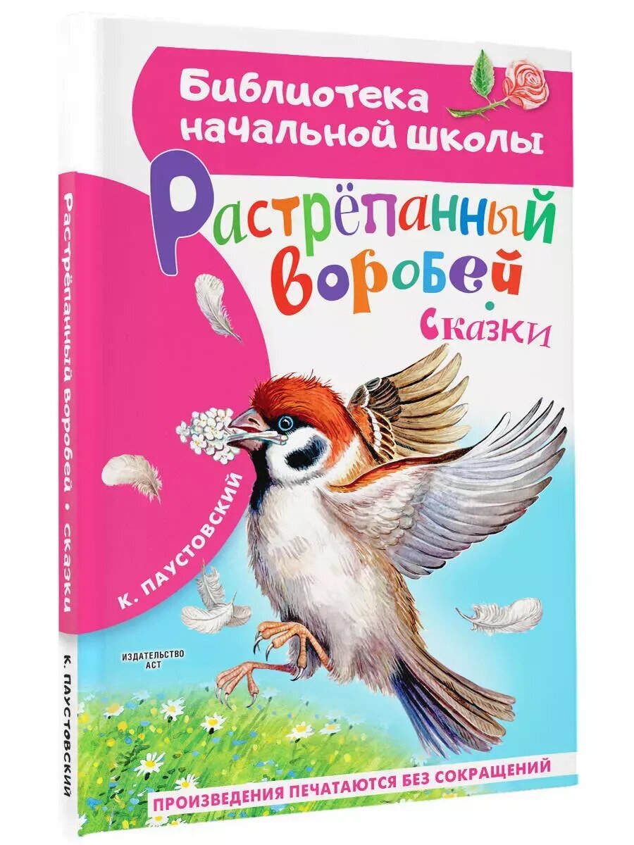 Библиотека начальной школы. Растрёпанный воробей.