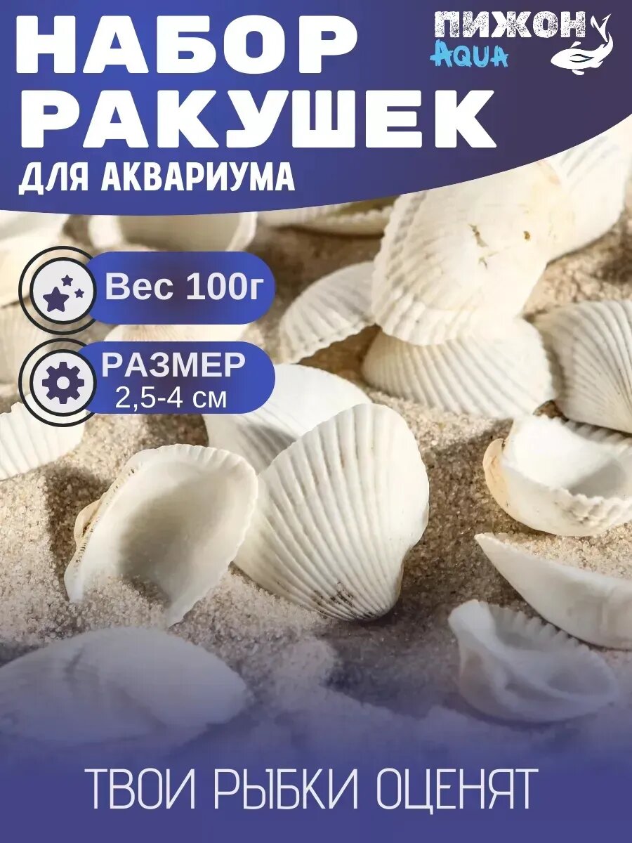 Набор ракушек, 2 - 3,5 см, 100 г