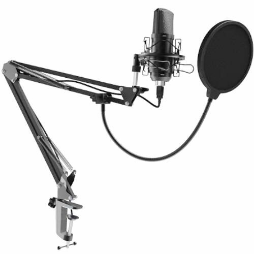 Микрофон Ritmix RDM-169 USB штатив струбцина ветрозащита