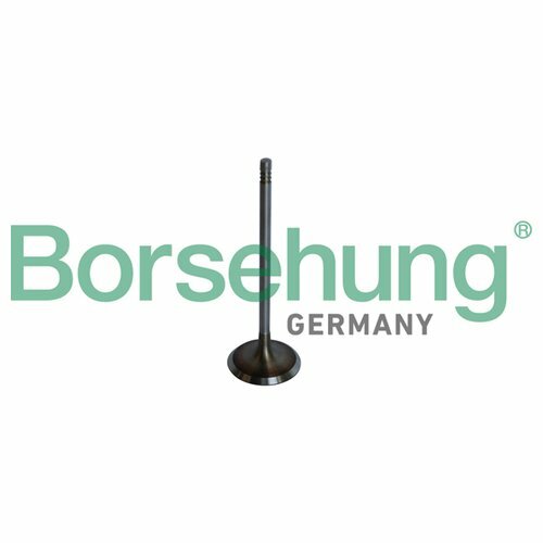 Впускной клапан Borsehung B10325