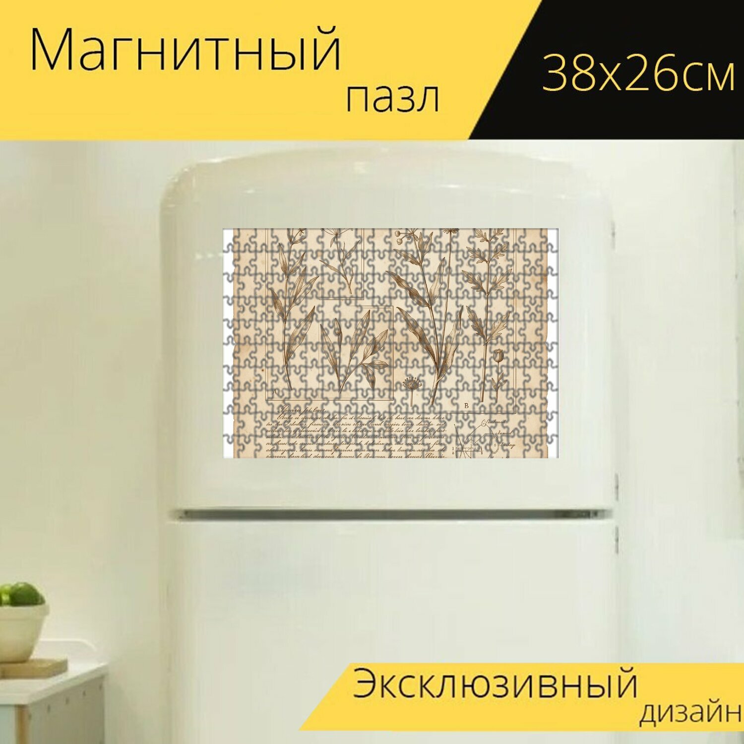 Магнитный пазл "Ботанические зарисовки на старой бумаге. Ретро-иллюстрация с засушенными полевыми травами и цветами, винтажные научные схемы, сепия и." для интерьера, 38х26 см.