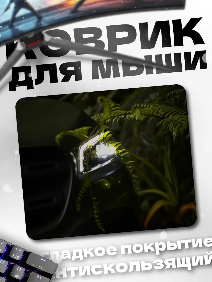Коврик для мыши Заросли папоротника