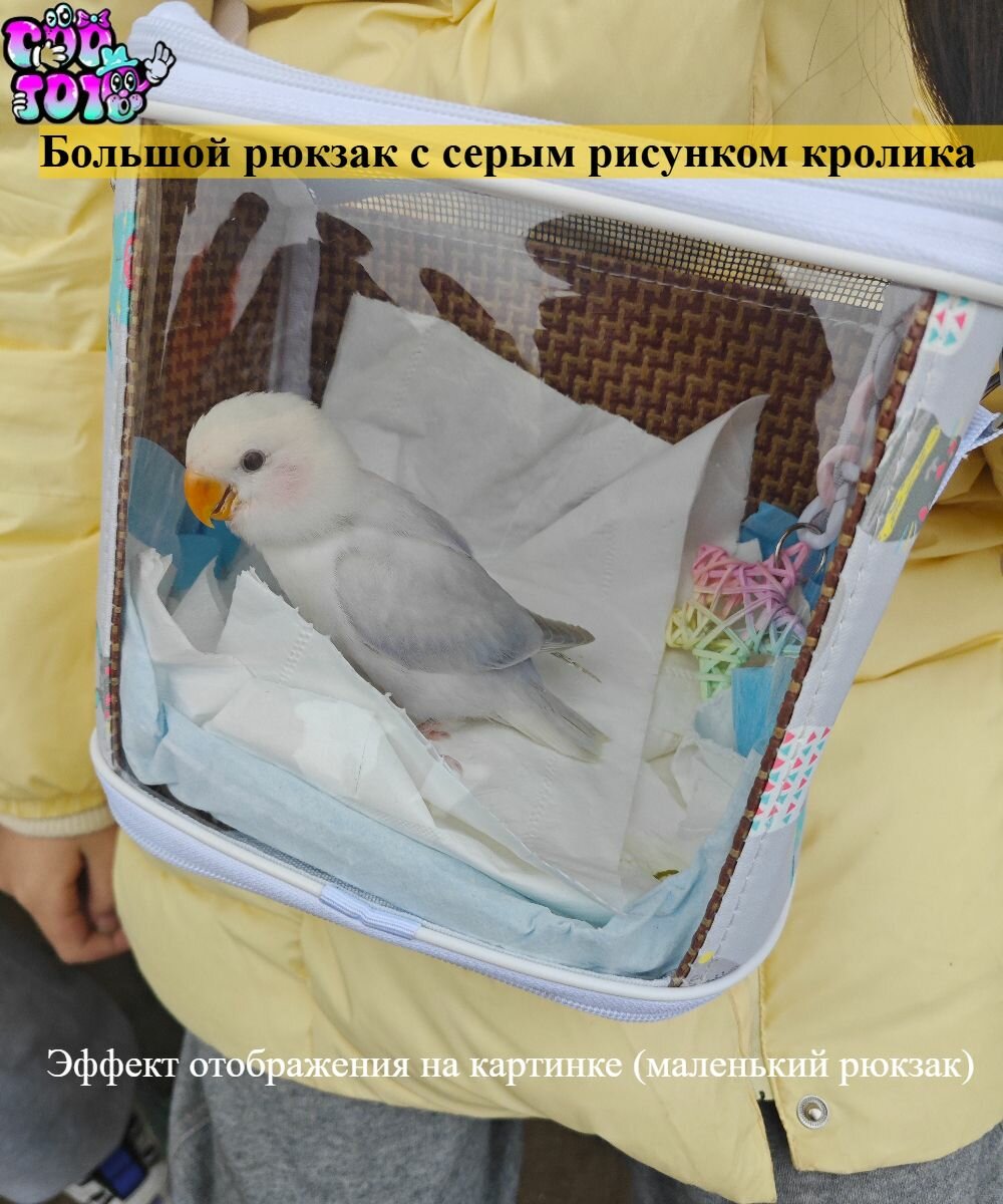 Дышащая прозрачная сумка-рюкзак для переноски птиц и мелких животных, для попугаев, кур, хомяков, ящериц