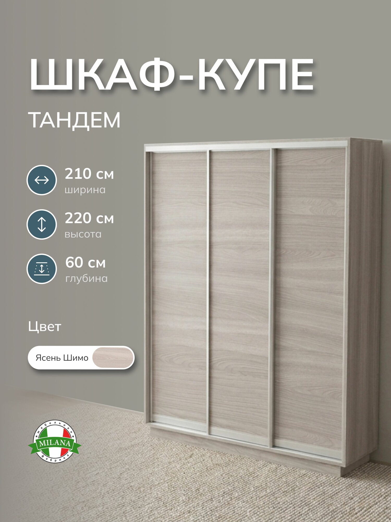 Шкаф купе Тандем трехстворчатый, 210х220х60 см