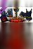 Divinity: Original Sin Source Hunter DLC pack, Все страны