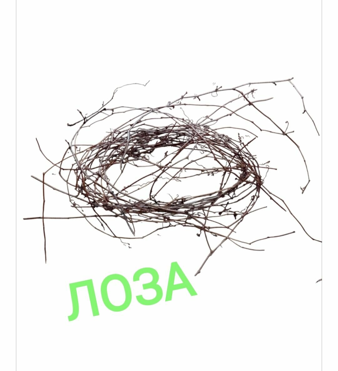 Лоза для декора, творчества.