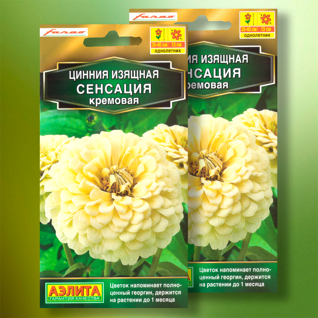 Семена циннии изящной "Сенсация кремовая", изготовитель "Агрофирма Аэлита", 2шт.