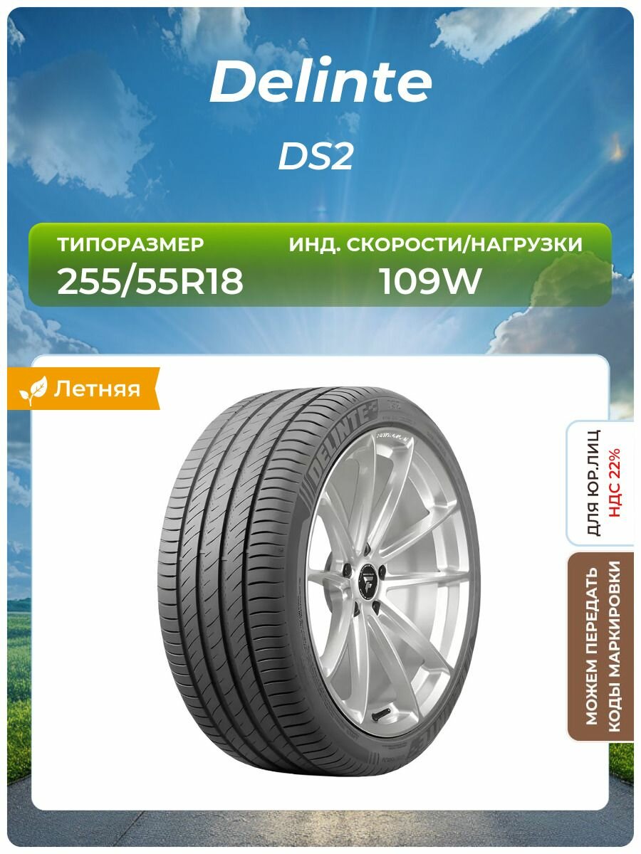 Шина Delinte DS2