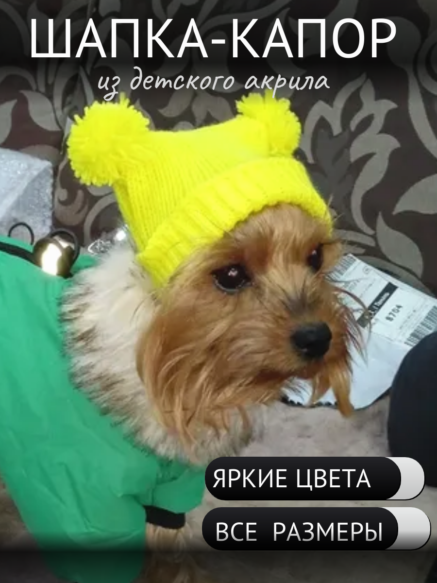 Шапка для собак капор колпак с ушками с закрытой шеей