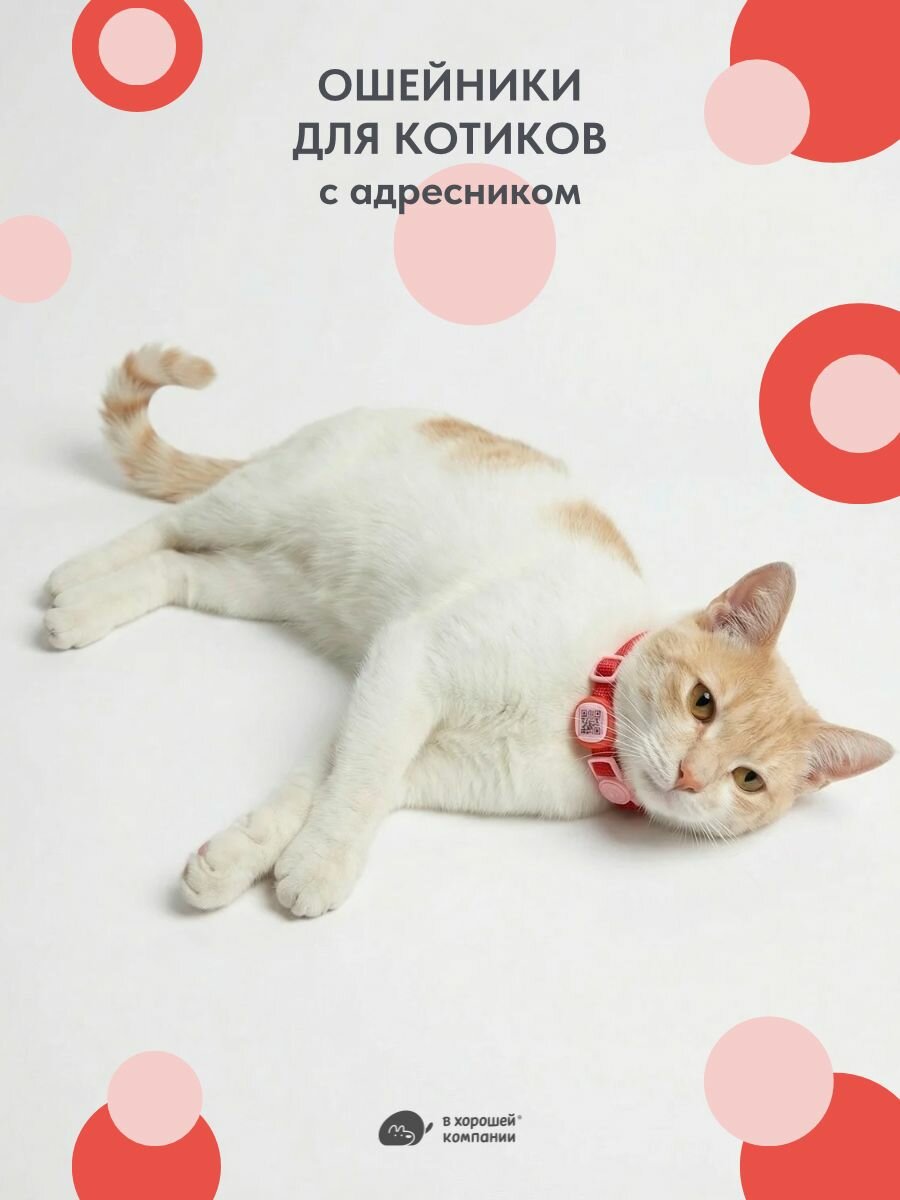 Ошейник с адресником для котов IN GOOD COMPANY В хорошей компании (XS / Настоящий красный / стропа)