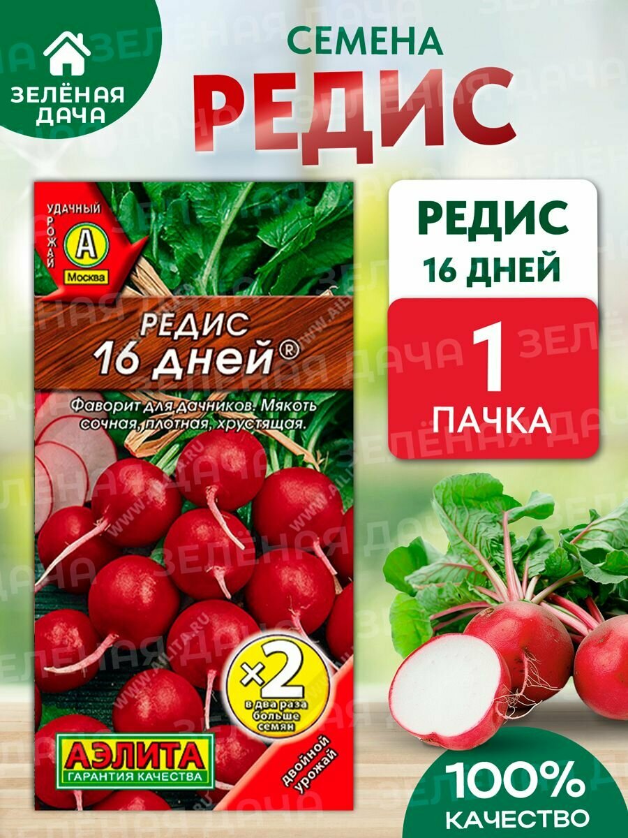 Семена редиса 16 дней редис ранний редис скороспелый редис
