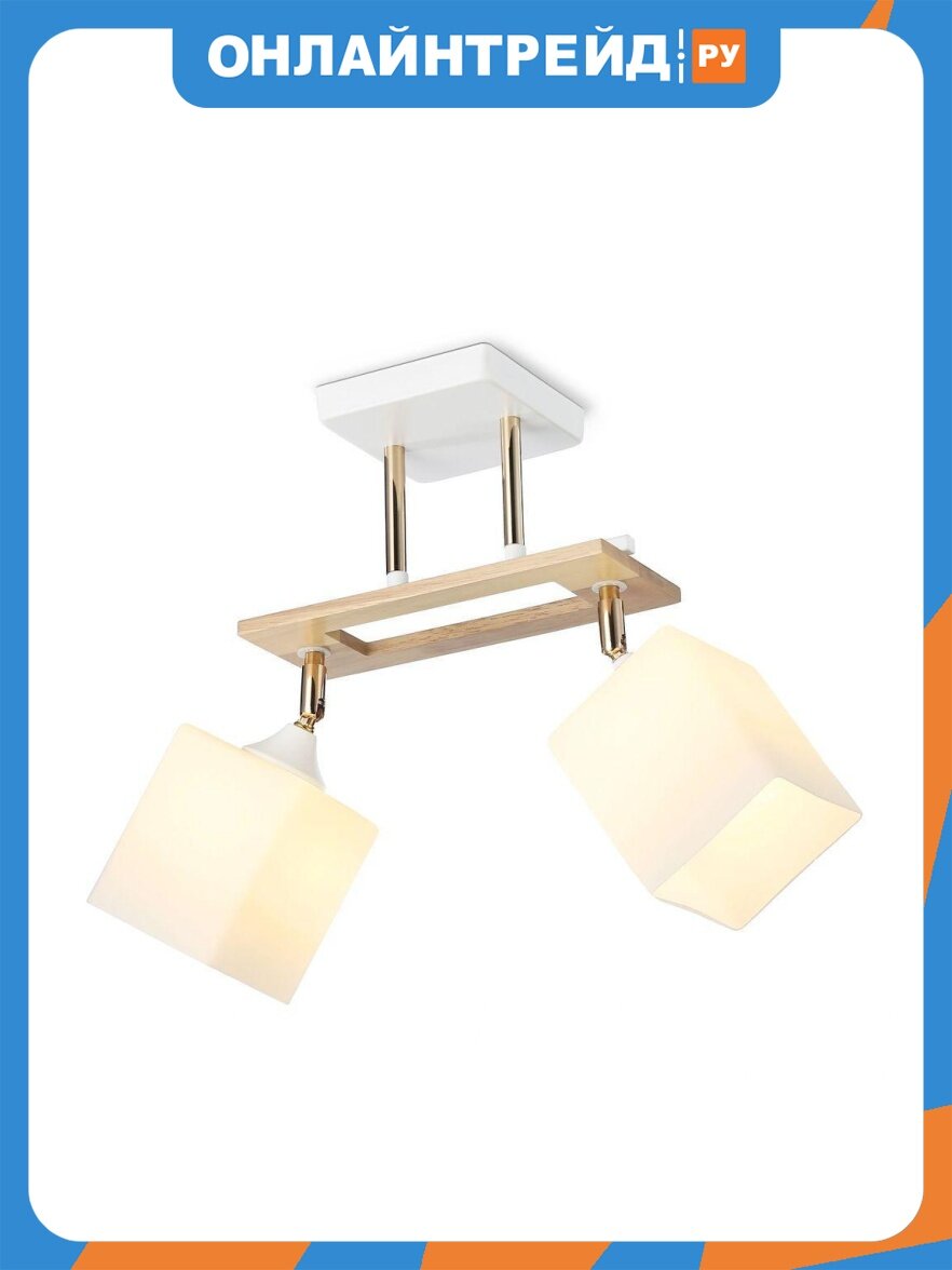 Спот Ambrella Light Traditional Modern TR9501