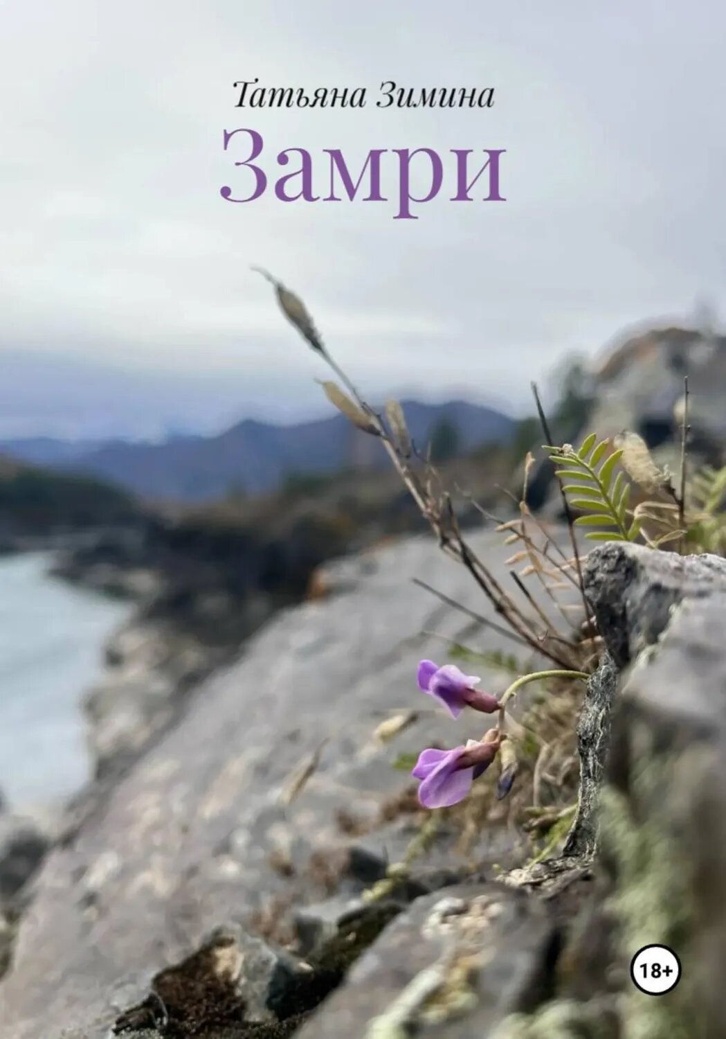 Замри [Цифровая книга]