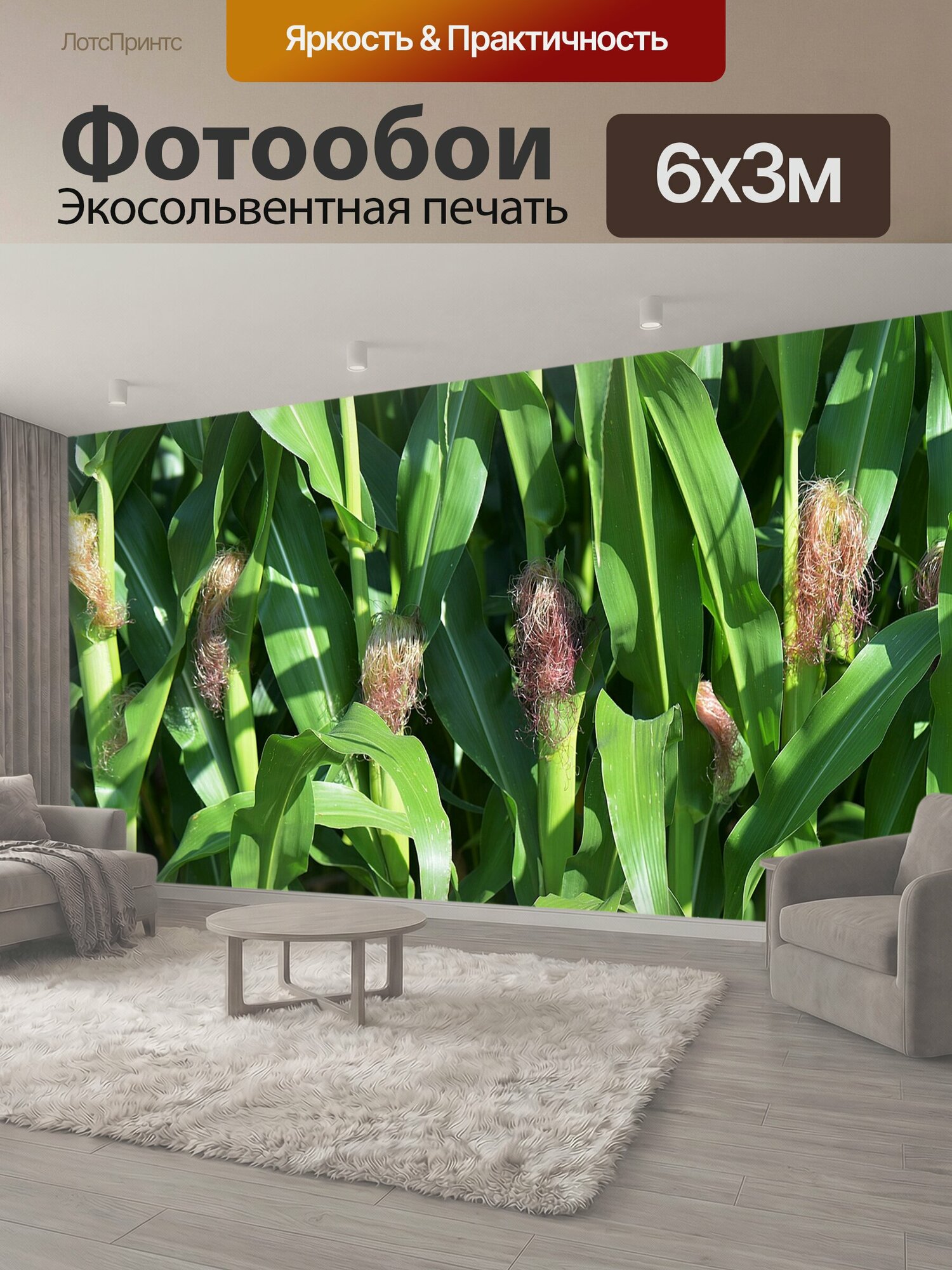 Фотообои "Кукуруза, кукуруз, растения" 600x300 см. экосольвентная печать