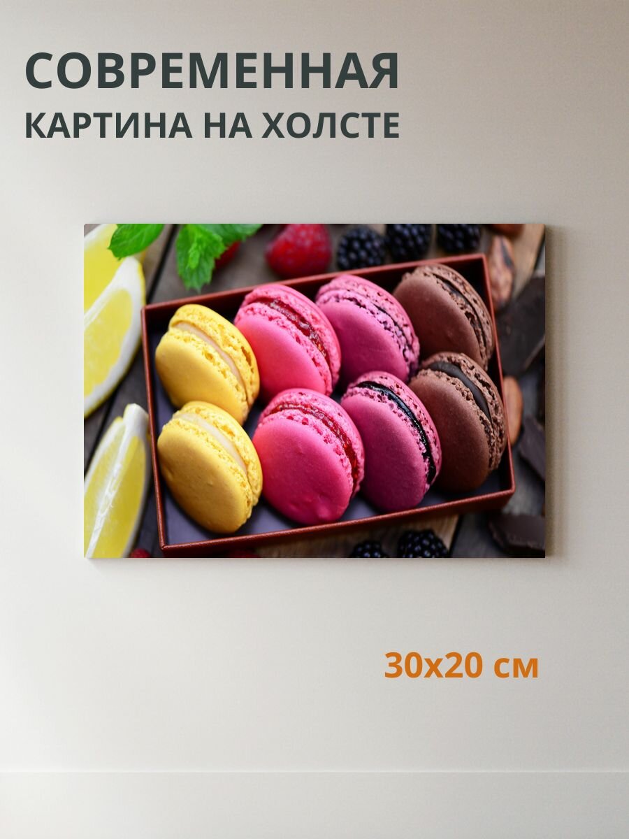 Картина на холсте Макаруны 30x20 см