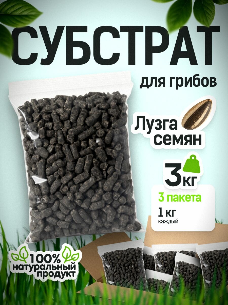 Субстрат для выращивания грибов (грунт) субстрат грунт для грибов почва для грибницы