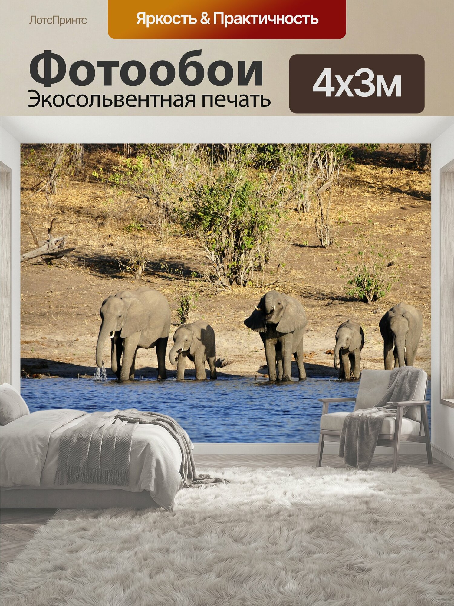 Фотообои "Слон, воды слон, слоненка" 400x300 см. экосольвентная печать