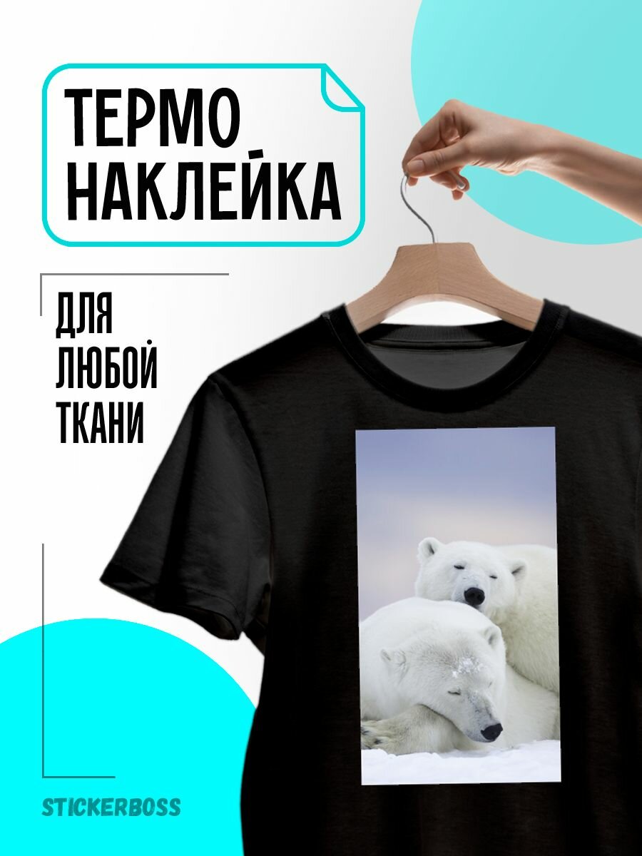 Термонаклейка термотрансфер на одежду белые медведи