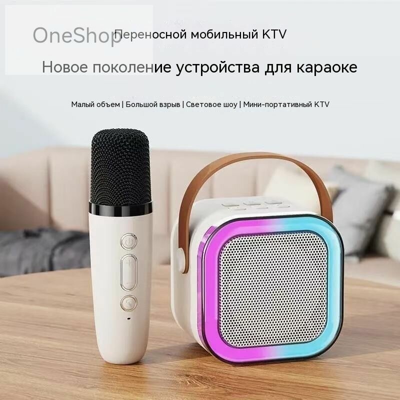 Портативная караоке-система с двумя микрофонами и беспроводной Bluetooth-динамикой для домашнего и уличного использования